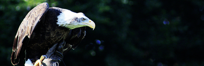 The Liberating Benefits of Becoming A Contrarian Thinker - Blanca Vergara